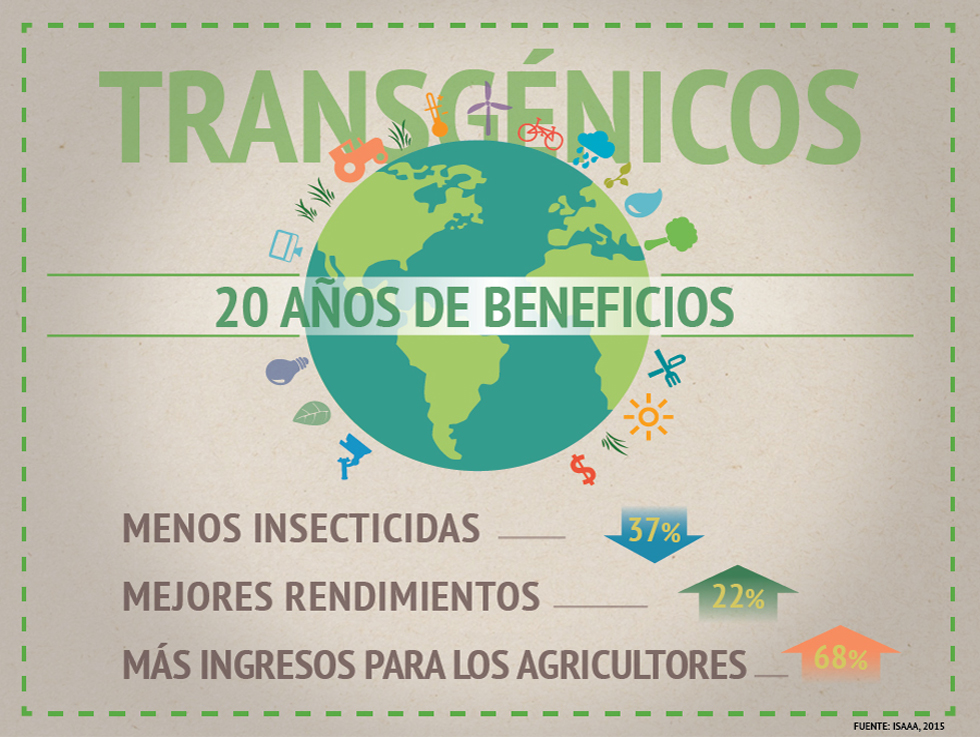 Cultivos transgénicos